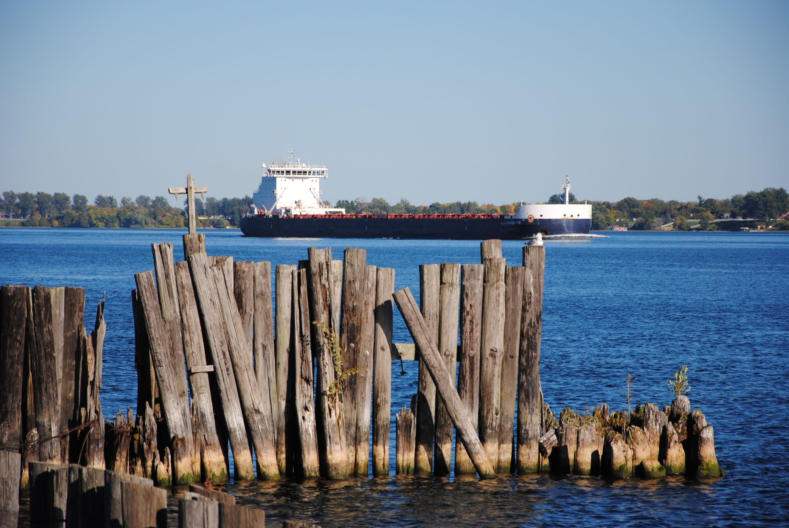 Diverse Research Team to Explore Future Energy Options for Great Lakes ...